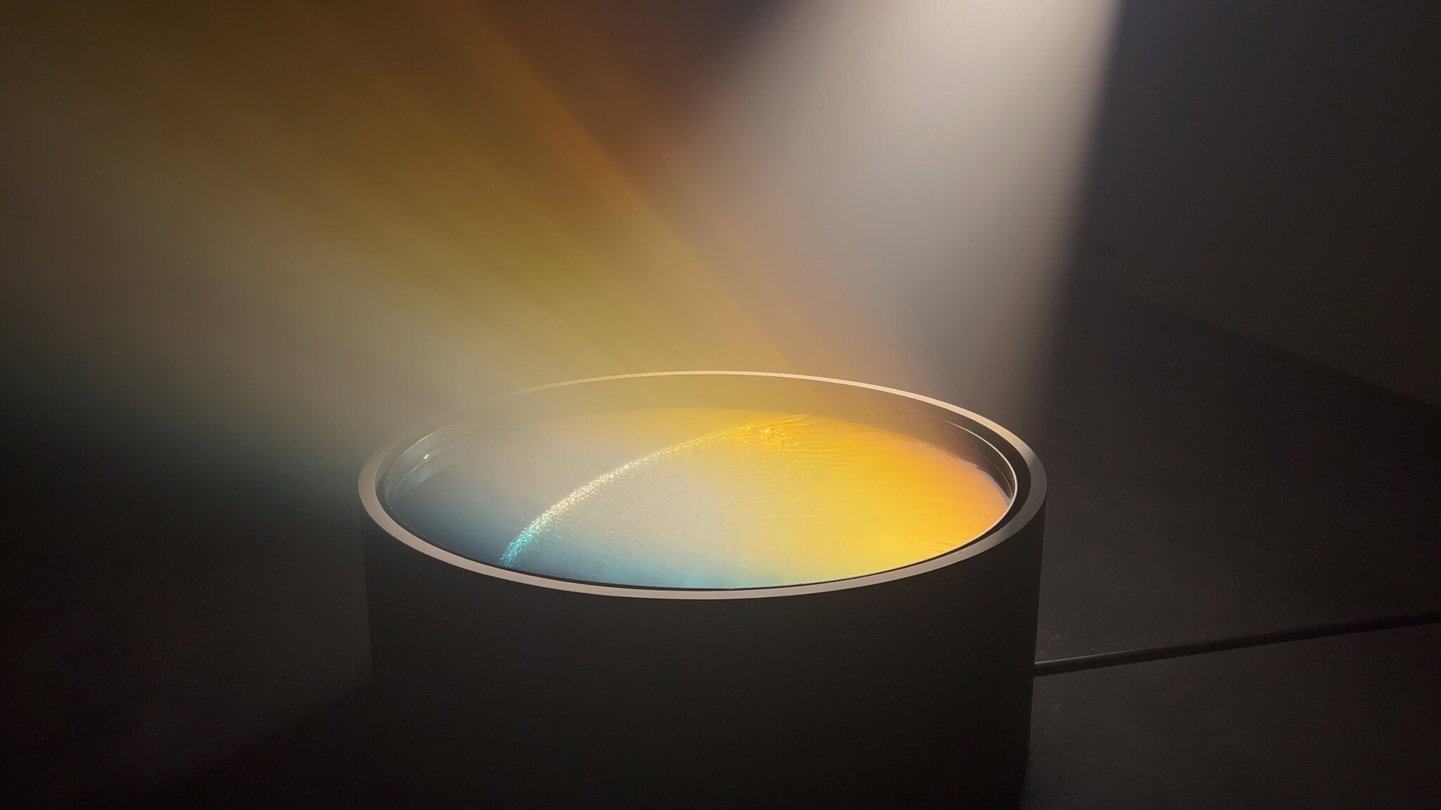 Stedelijk Museum Schiedam opent eerste tentoonstelling in voormalige bioscoop Monopole ...